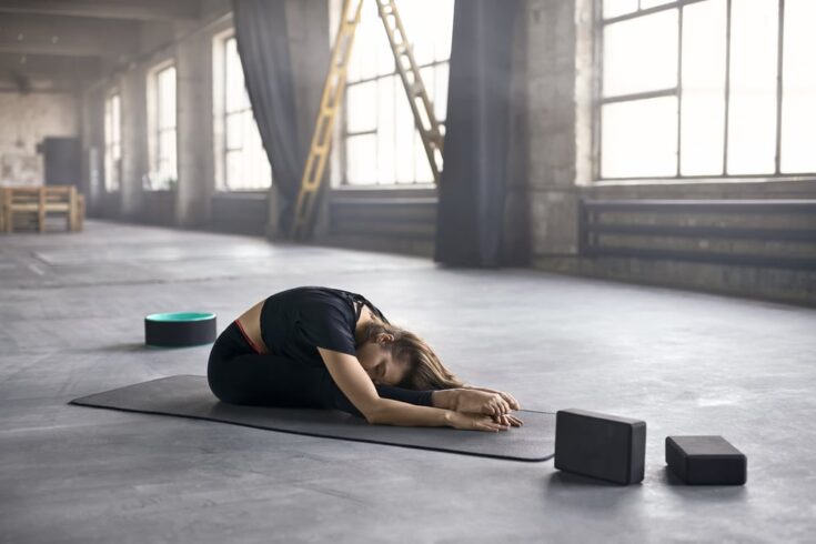 The Best Yoga Wheel Exercises for Beginners (Plus Top Picks) - Yogalaff
